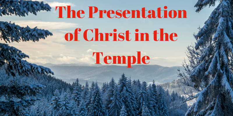 Christ Church Bedford : Sunday 2nd February